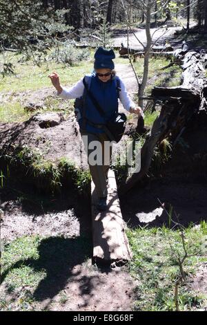 Woman hiking over a log bridge on a cloudy early spring day in New ...