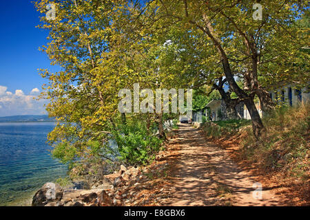 The lakeside road at Loutra Myrtias, Trichonida (or "Trichonis") lake ...