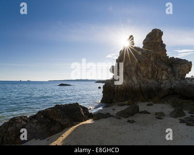 Saki Motobu beach a.k.a. Gorilla Chop - Popular Dive Spot near Motobu ...