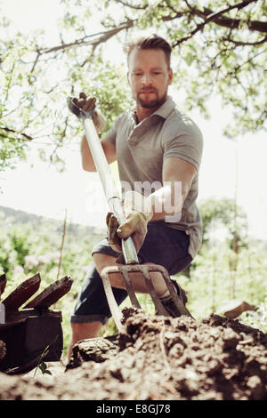 Planting. Man digging ground. Work in garden. Gardener with shovel ...