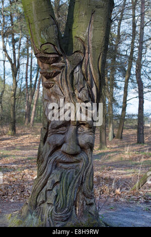 wood carved tree with human face Stock Photo - Alamy