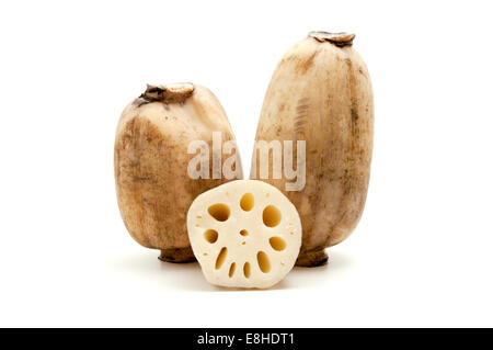 Lotus root (the rhizome of the Sacred Lotus, Nelumbo nucifera), sliced ...