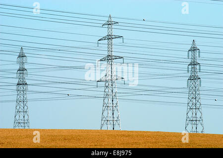 Pylons in the Sky Stock Photo - Alamy