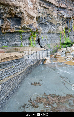 USA, California, San Diego. Sunset Cliffs tide pools on the Pacific ...