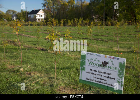 Detroit, Michigan - Newly-planted hardwood trees on Hantz Woodlands ...