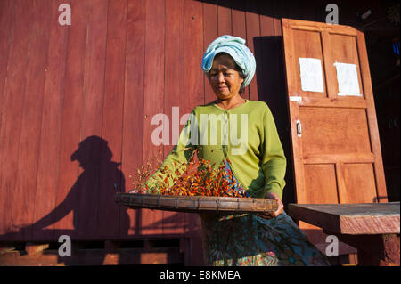 Woman from the Lahu people, hill tribe, ethnic minority, cooking on an ...