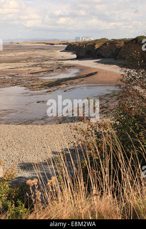 Great Britain, England, Lilstock beach, West Somerse Stock Photo - Alamy
