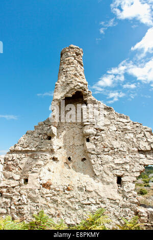 Ruins of a household in Brusje village, Hvar island, Croatia Stock ...