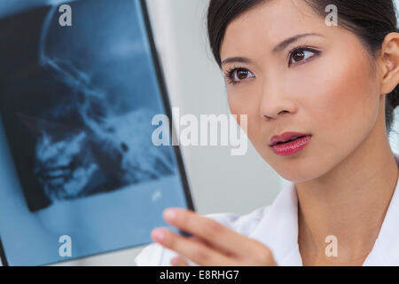 young Asian female doctor studying brain model anatomy medical ...