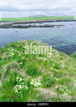 Landscape on Westray, a small island in the Orkney archipelago, Orkney ...