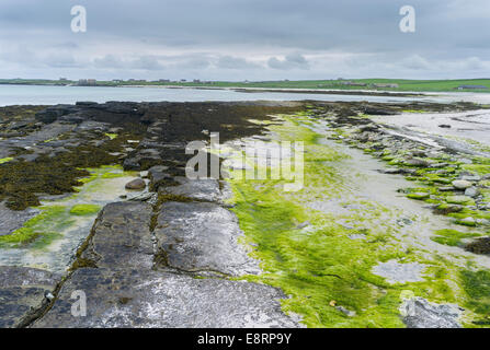 Landscape on Westray, a small island in the Orkney archipelago, Orkney ...