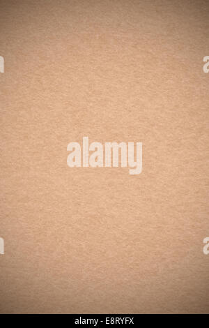 brown paper background or sepia soft pattern texture with delicate ...