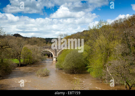 River Torridge; from Tarka Trail; Devon; UK Stock Photo - Alamy