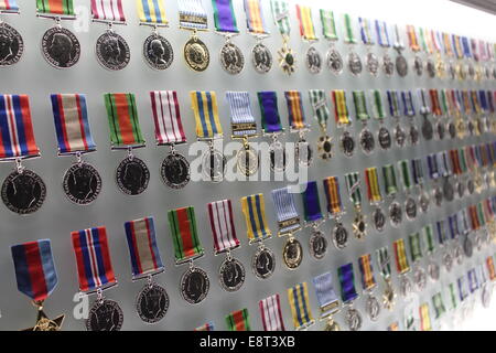 War medals on display Stock Photo - Alamy