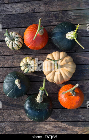 A selection of winter squashes Stock Photo - Alamy