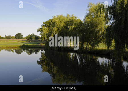 View over the Pond to the 6th Green Windlesham Golf Club Bagshot Surrey ...