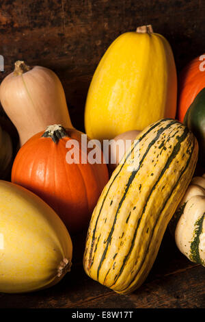 Organic Assorted Autumn Squash on a Background Stock Photo - Alamy
