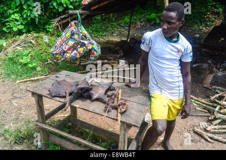 Nigerian men selling bush meat (mostly porcupine) on the road side in ...