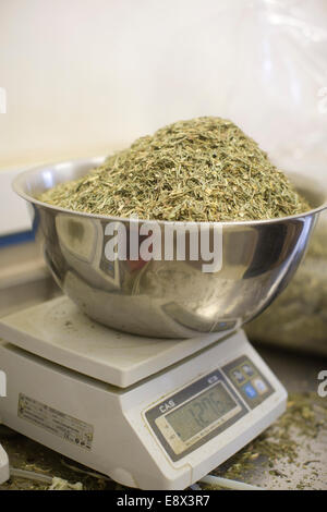 Alex Probyn owner of Blend for Friends custom tea blenders in Shoreham ...