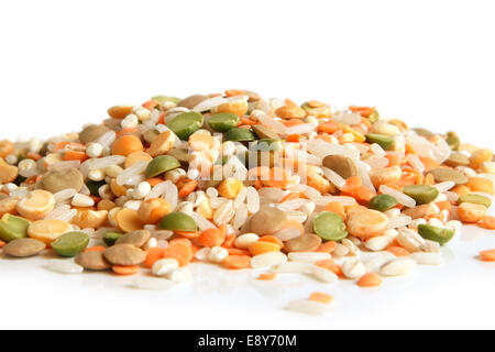 Close-up of a mixed crop of Barley and Oats during a fall harvest ...