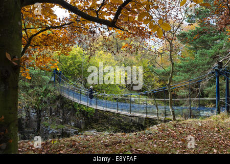 Walker Enjoying the View From Wynch Bridge in Autumn, Upper Teesdale ...