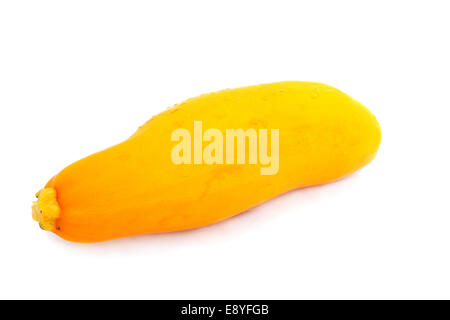 A yellow Italian Marrow Stock Photo - Alamy