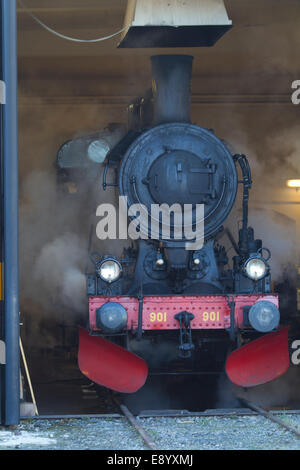 Images of an old Swedish steam locomotive Stock Photo - Alamy