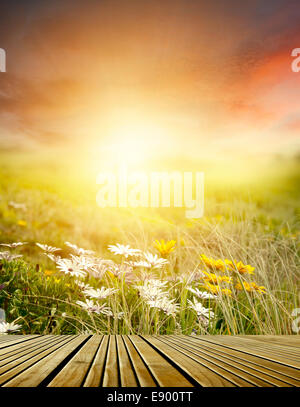 The flowers are beautiful, bright, magical meadow flowers. Perhaps ...