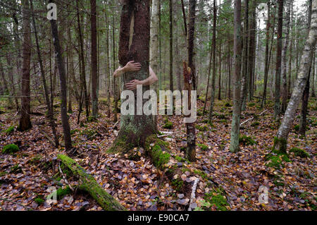 a dark man behind a tree Stock Photo - Alamy