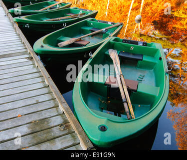 small green row boat with paddles oars and seat ready to explore ...