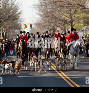 Middleburg hunt in traditional parade Stock Photo - Alamy