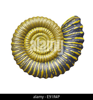 single empty snail shell isolated on white. 3D illustration Stock Photo ...