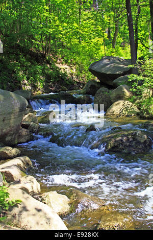 River Oker, Oker valley, Harz, Lower-Saxony, Germany, Europe Stock ...