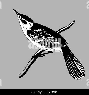 thrush silhouette on gray background Stock Photo - Alamy