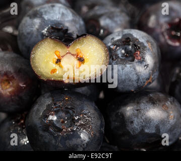 Fresh raw sweet blueberries inside a bucket, close up. Blueberry ...