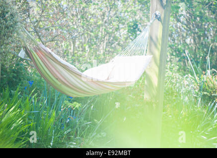 Hammock swing hanging in garden on a beautiful Spring day Stock Photo ...
