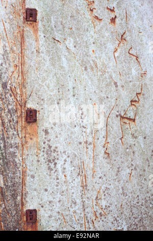 Texture - decayed metal background Stock Photo - Alamy