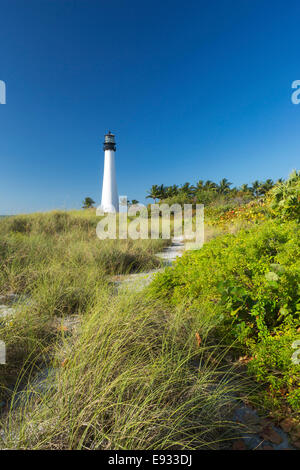 GRASS DUNES KEY BISCAYNE LIGHTHOUSE BILL BAGGS CAPE FLORIDA STATE PARK ...