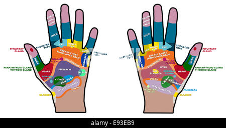 Reflexology handheld, hands backs, health, massage Stock Photo - Alamy