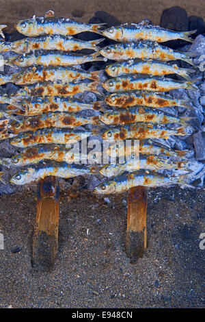 Espetos de sardinas grilled sardines Andalusian gastronomy Andalusia ...
