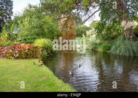 Cambridge botanical gardens Stock Photo - Alamy