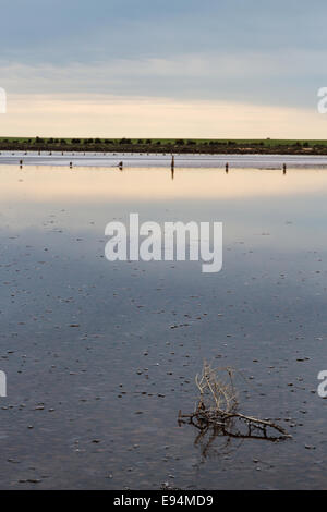Lake Wahpool near the Victorian town of Sea Lake in Australia. An area ...