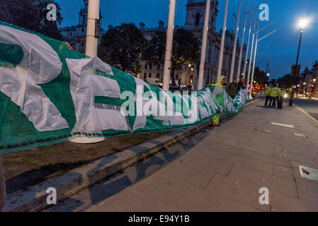 Police cleared out Occupy Democracy protest on 20th October 2014 Stock ...