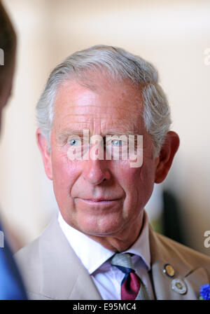 A relaxed and smiling Prince Charles during a public engagement in ...