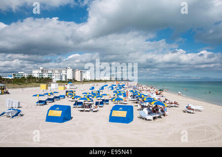 Crowded beach, Miami Beach, Florida, USA Stock Photo - Alamy