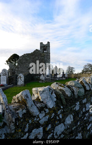 ruins of the friary church hill of slane meath ireland religion saint ...