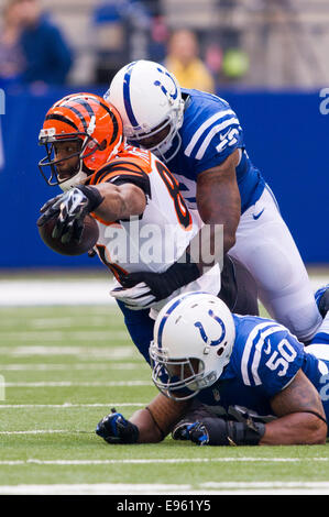 Cincinnati Bengals tight end Jermaine Gresham (84) stretches before an ...