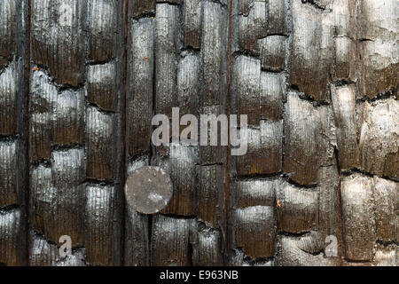 A forest fence post burned beyond recognition by fire Stock Photo - Alamy