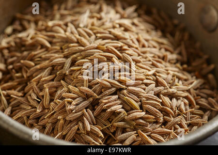whole cumin seed Stock Photo - Alamy