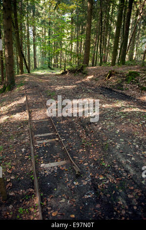 Argonne Forest WW1 Meuse-Argonne Battlefield site, France. October 2014 ...